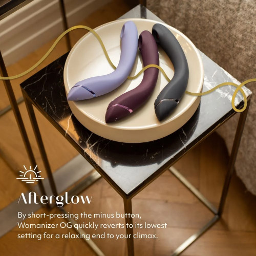 Womanizer The Original G Spot Vibrator Aubergine Sex Toys At Adult Empire