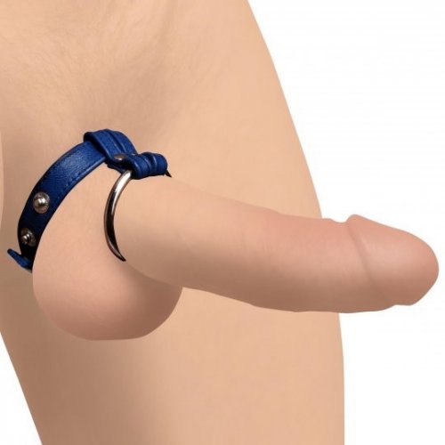 Strict Gear Leather And Steel Cock And Ball Ring Blue Sex Toys And Adult Novelties Adult Dvd