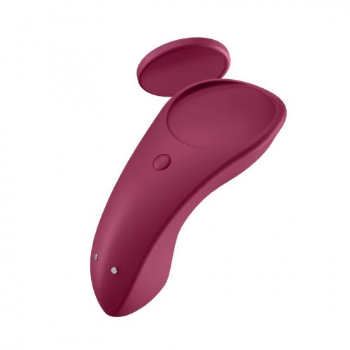 Satisfyer Double Joy Partner Vibe And Sexy Secret Panty Vibe Partner Box