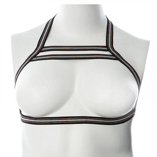 Gender Fluid Silver Lining Rainbow Glitter Silver Harness S L Sex Toy Hotmovies